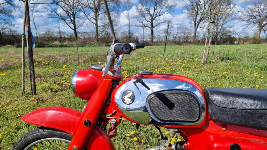 Honda C200 90cc very low mileage | Dutch Lion Motorbikes